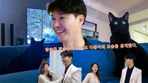 방송인 박수홍이 반려묘 다홍이의 모습을 공개했다 Youtube