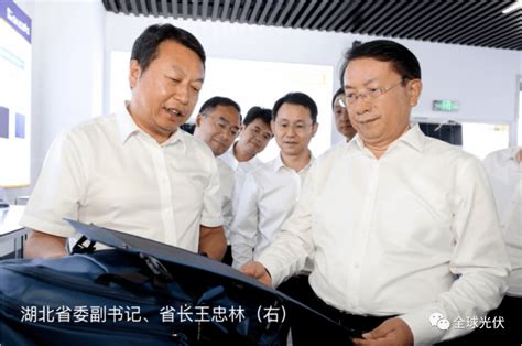 屡获政府调研最高量产效率25 8 n型新龙崛起 发展 全球 组件
