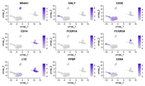 单细胞rna测序（scrna Seq）seurat分析流程入门 知乎