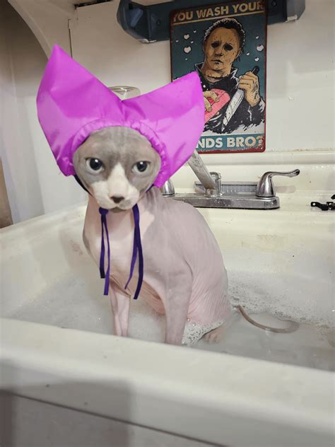 Sphink In A Sink Rsphynx