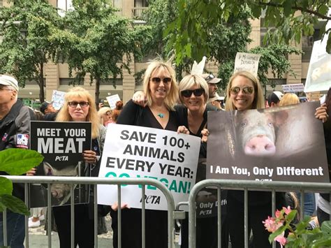 Watch As Thousands Around The World March For Animal Rights Peta