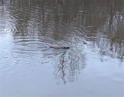 Vallées De La Dyle Et Du Barebeek