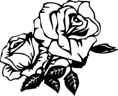 Dibujos De Rosas Para Colorear Buscar Con Google Black And White