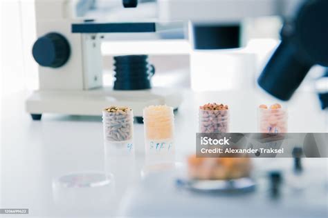 식품 공급의 화학 실험실 실험실에서 음식 Dna 수정 실험실에서 Gmo 유전자 변형 식품 실험실에 대한 스톡 사진 및 기타