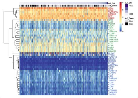 unsupervised clustering of icgs in the tcga luad cohort the overall