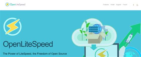 discovering nginx alternative exploring the best web server options