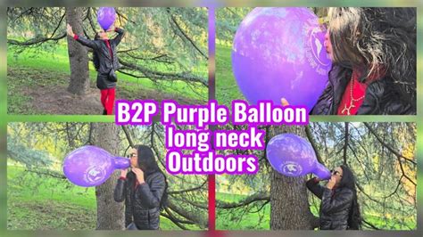 Blow To Pop Purple Balloon With A Big Neck Outdoors Lover Loon