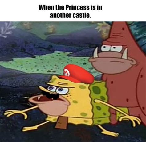 Primitive Sponge Memes Spongebob Squarepants Amino