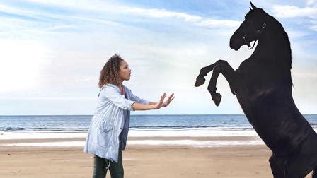 Isso ou Aquilo Resenha Série Zoe e Raven Free Rein