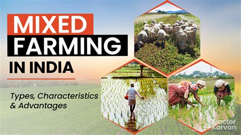 Mixed Farming In India Types Advantages And Characteristics