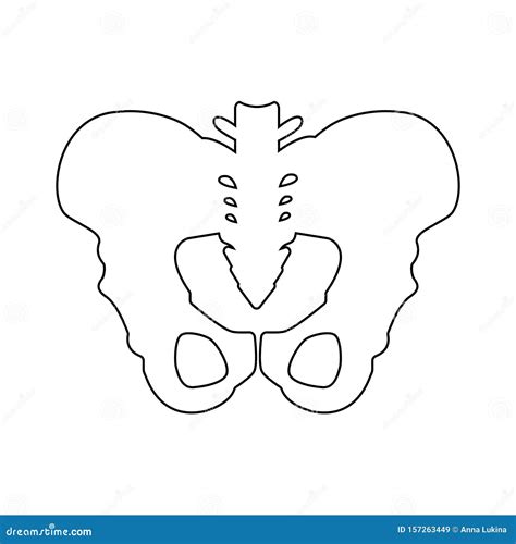 Silhouette Of Pelvis Icon Outline Element Vector Illustration Of Hip