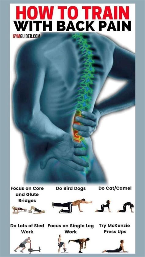 5 Lower Back Bodyweight Exercises To Ease Off Back Pain Artofit