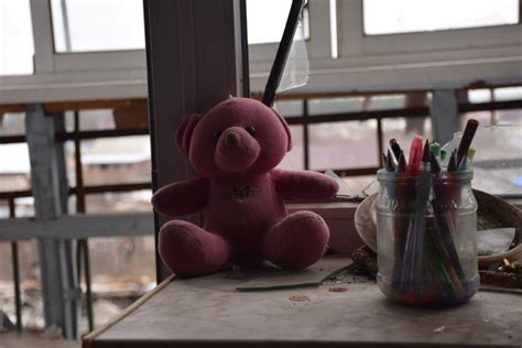 Sexual Violence In The Occupied Territories As An Element Of Terrorism