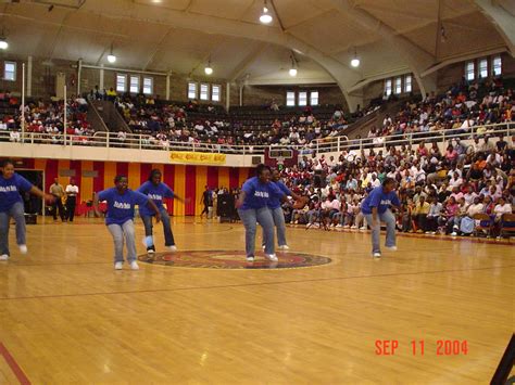 View Full Size Image