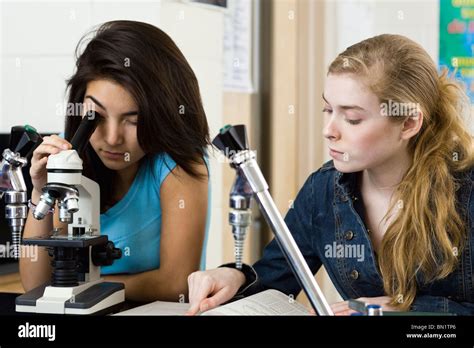 Classmates Completing Science Class Assignment Together Using