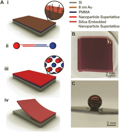 Conformal Macroscopic Crystalline Nanoparticle Sheets Assembled With Dna
