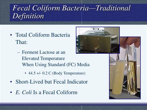 Ppt Total Coliform Rule Powerpoint Presentation Free Download Id