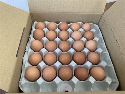 福地鶏のふくたまご25個規格外55g以下 テトテヲ Home