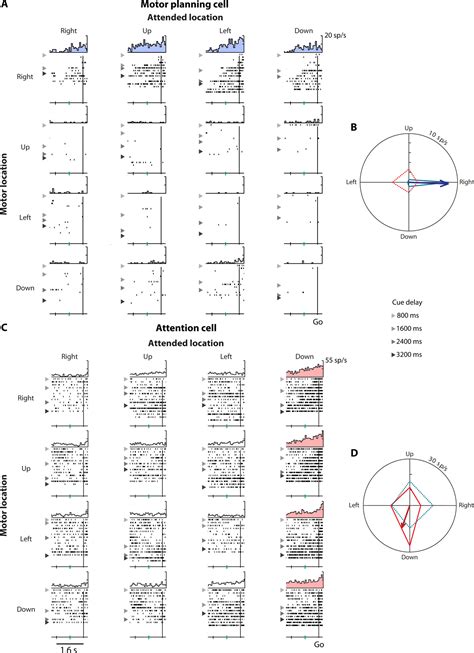 Separable Neuronal Contributions To Covertly Attended Locations And Movement Goals In Macaque