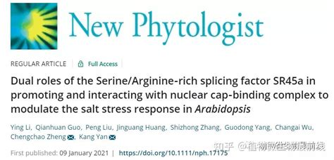 New Phytologist 山东农业大学颜康和郑成超课题组揭示可变剪切调控植物抗盐新机制 知乎
