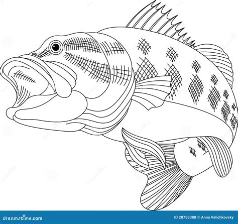 Bass Boat Coloring Pages