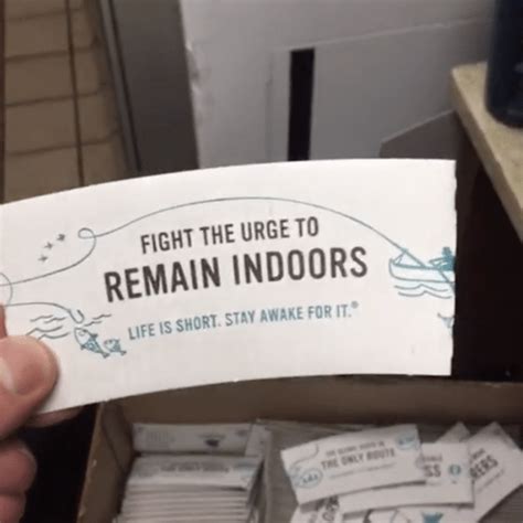 Tiktok Shows The Message Caribou Coffees Sleeves Had Printed
