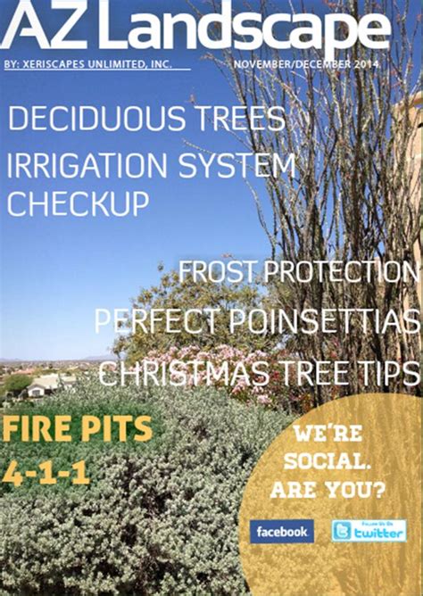 Fire Pits Deciduous Trees Frost Protection Perfect Poinsettias Irrigation System Check Christmas