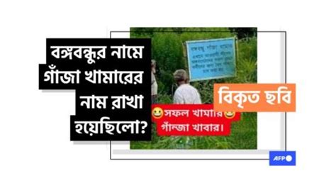 ফ্যাক্ট চেক