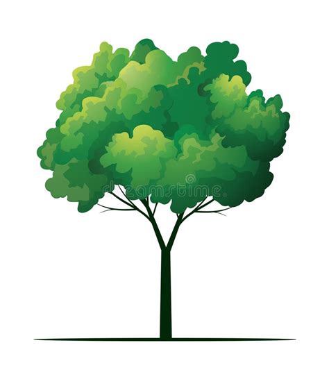 Shape Of Green Tree With Leaves Vector Outline Illustration Stock
