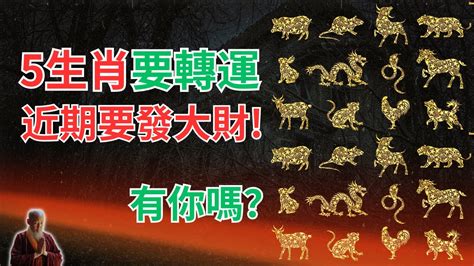 根據生肖命理推算5個生肖近期要轉運財運旺盛他們要發大財有你嗎？ Youtube