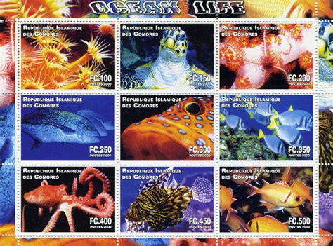 Comoro Islands 2000 Ocean Life Sheet Perforated Mint Nh Africa
