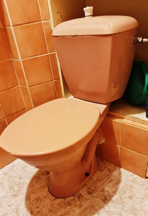 WC poti vahetus Mustamäel Hange ee