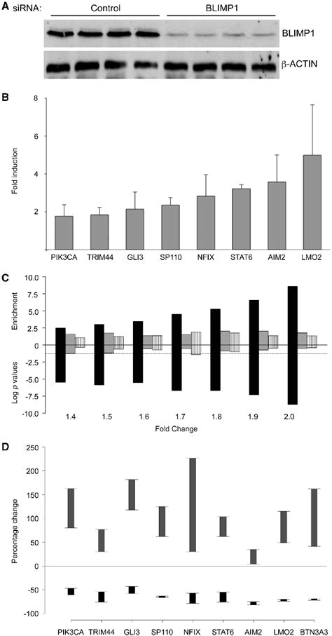 Occupancy And Motif Type Define A Distinct Subset Of Dynamically