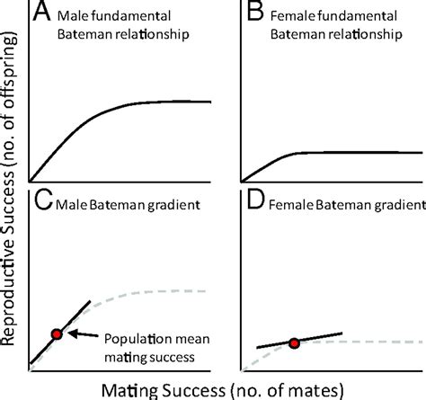 Sexual Selection Graph