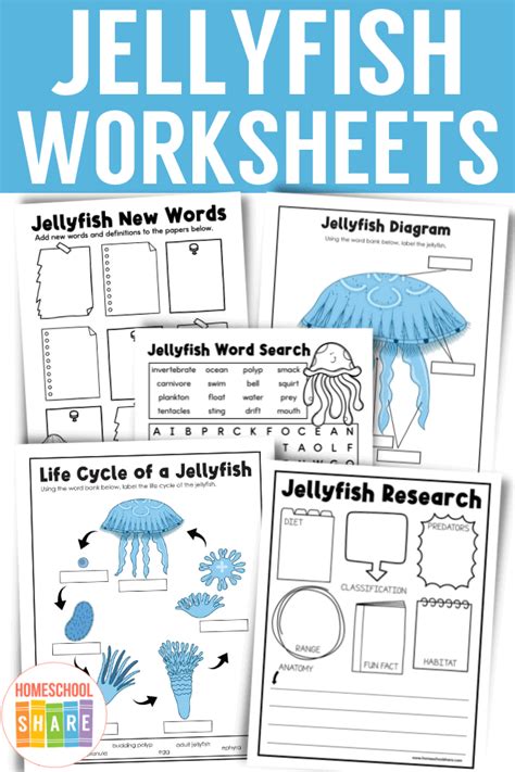 Jellyfish Facts Worksheets Habitat Types Body Parts For 58 Off