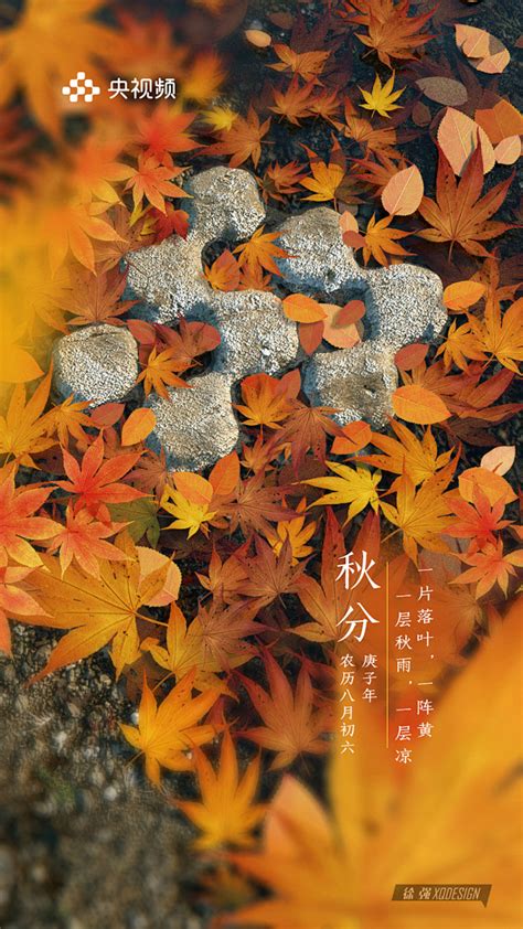 央视频24节气海报竟然是C4D炫的太精美了将传统与现代相结合天地自然人生的哲思都藏在这二十四节气的学问中了 by XU