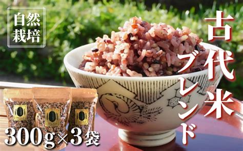 【先行予約r7年産】自然栽培 古代米 ブレンド 300g×3袋 【赤米・黒米・みどりもち】 大分県豊後高田市 セゾンのふるさと納税