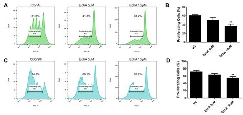 Ech A Impact On Mixed Lymphocyte Reaction Mlr In Vitro Cfse Labeled