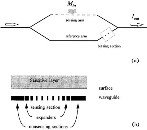 Configuration Of The Mach Zehnder Type Evanescent Field Sensor Based On