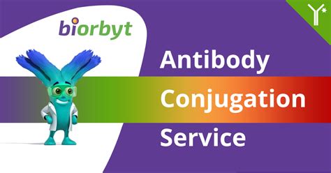 biorbyt for simultaneous detection of multiple target