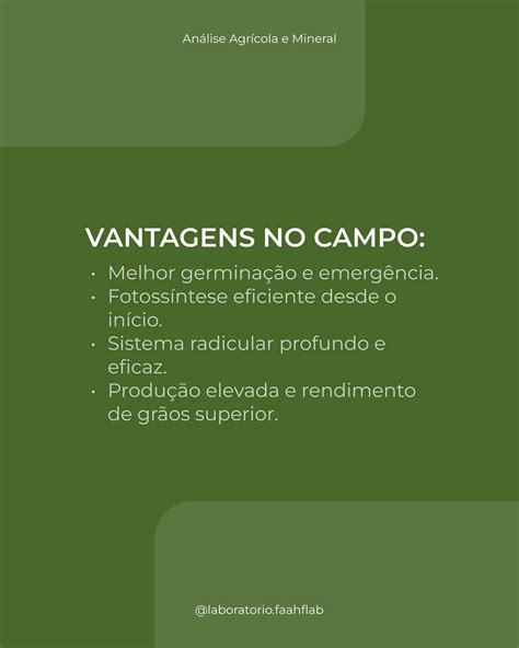 Sementes De Alto Vigor Oferecem Faahflab Laboratório