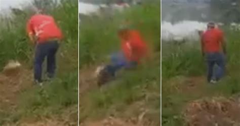 Cocodrilo Hembra “ataca” A Hombre En Tabasco Reptil Protegía Su Nido