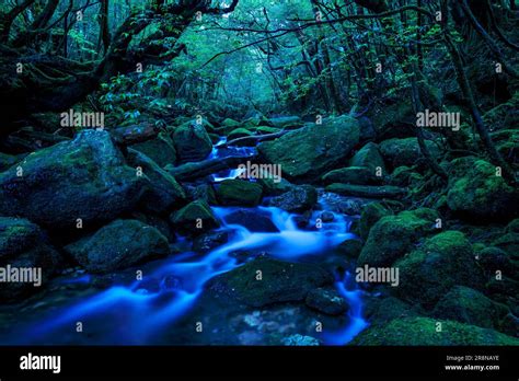 Shiratani Unsui Gorge At Dawn Stock Photo Alamy