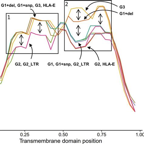 Predicted Hydrophobicity Scores For Mamu E Transmembrane Tm