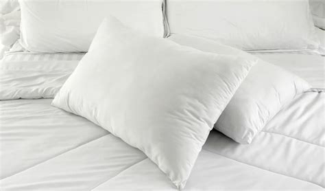 Silk Pillows Guide Which Pillow Is Right For You