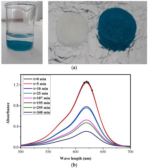 Polymers Free Full Text An Interpenetrating Polymer Network Hydrogel Based On Cellulose