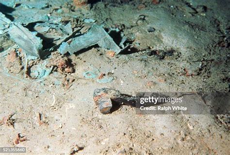 Pešo Vyzdvihnúť Mesto Dead Bodies In Titanic Wreck Výsadba Stromov