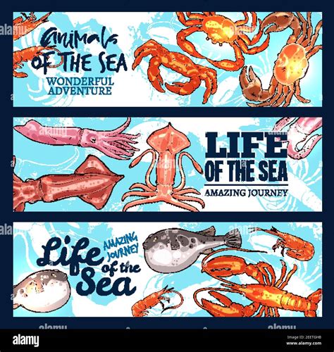 Sea Life Sketch Banners Of Ocean Seafood Mollusk Or Tropical Fishes And