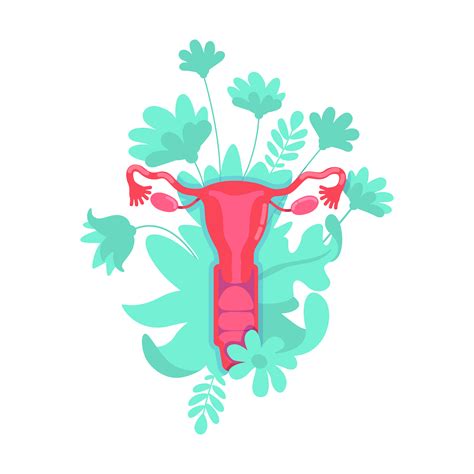 Female Reproductive System 1632517 Vector Art At Vecteezy