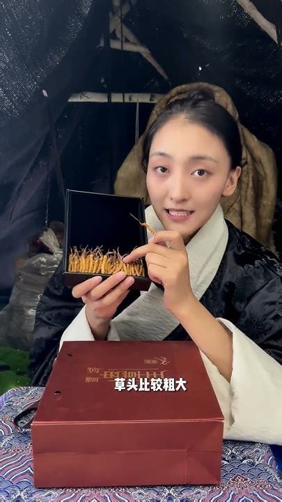 7 一个视频教会你如何分辨人工虫草虫草话题冬虫夏草话题野生虫草与人工虫草区别话题草小二天然虫草话题 冬虫夏草